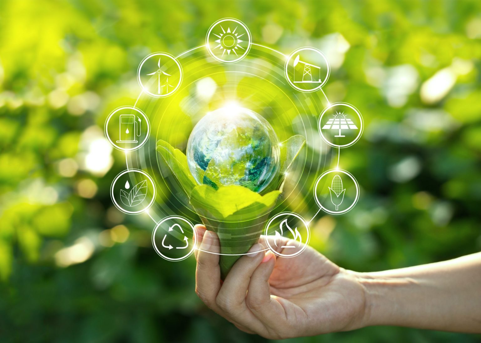 ¿Qué es sustentabilidad y su importancia en el desarrollo tecnológico? ¿Qué es sustentabilidad y su importancia en el desarrollo tecnológico?
